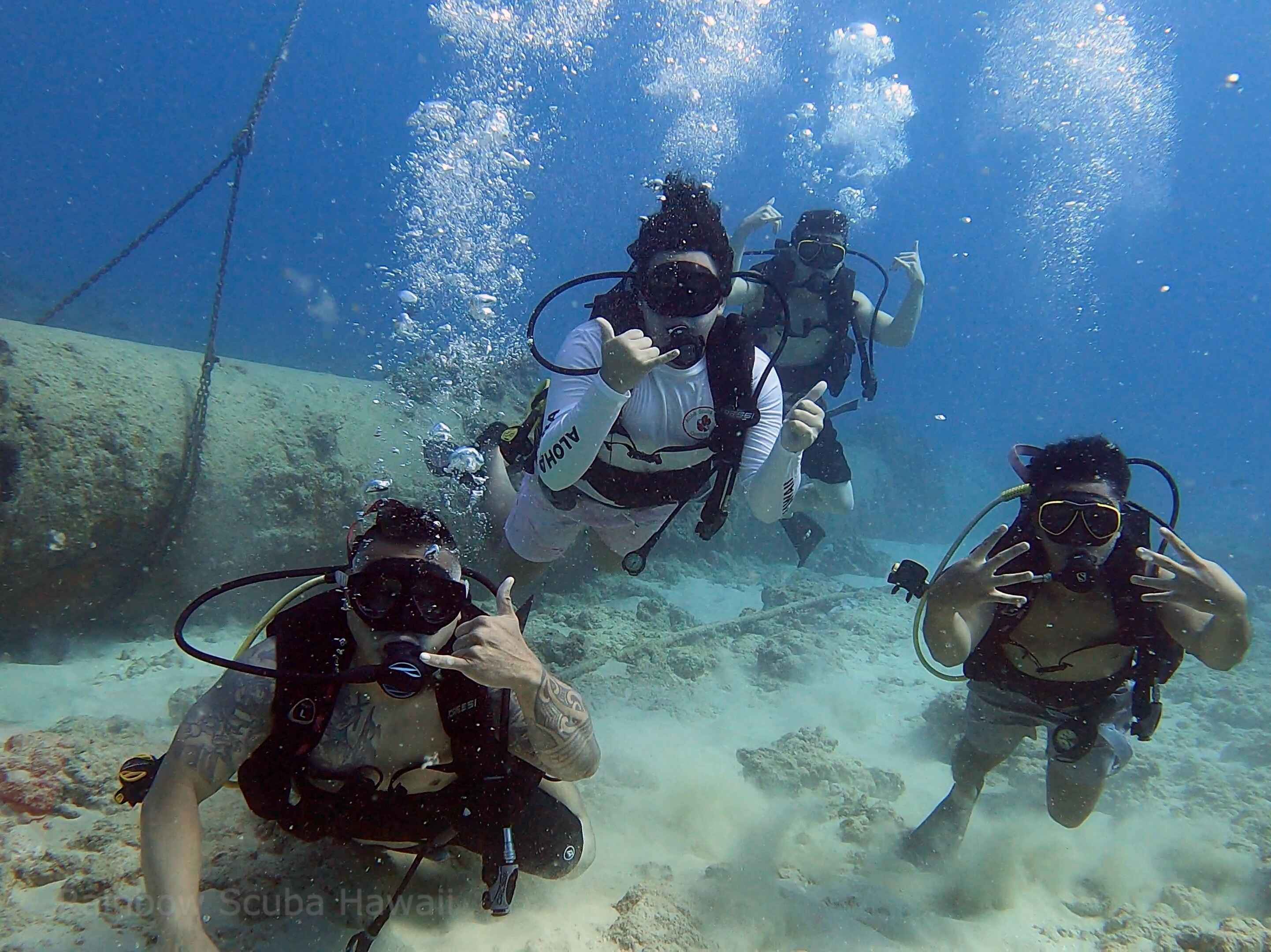 Don’t Miss Out on Kewalo Pipe Reef